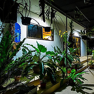 TOPELE 1100LM LED Flood Light, LED Outdoor Security Light, Exterior Flood Lights Fixture with CREE LED Source for Landscape Light, Commercial, Home, Garden, Yard, Waterproof, Brown, 5000K