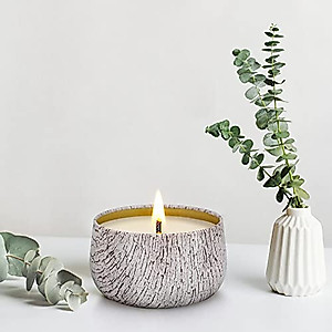 Scented Candles, Mint & Eucalyptus Candles, 9 oz Candles for Home Scented, 50 Hours Long Burning Soy Candle, Candles Gifts for Mother's Day, Valentine, Christma's Gifts