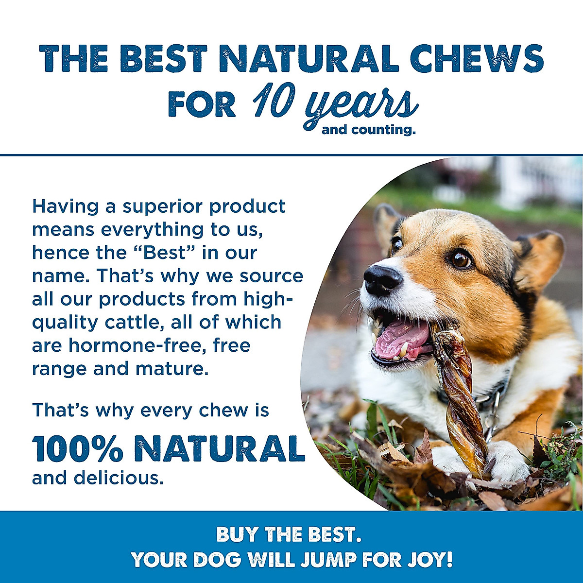 Best Bully Sticks All Natural 12 Inch Braided Bully Sticks for Medium and Large Dogs - easily digestible Limited Ingredient Rawhide Alternative Dog Chew - Free-Range Grass-Fed Beef Dog Treats - 4 Pack