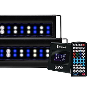 Current USA 4227 Orbit Marine IC PRO LED Reef Aquarium Dual Light System with Wireless Loop, 48"