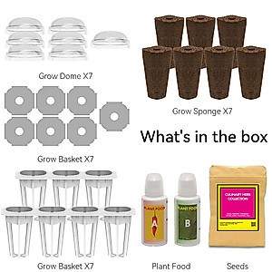 LYKO Basil Cilantro Dill Mint Seed Starter Kit for Hydroponics Growing System, Vegetable Pod Kits for Planting Indoor Garden 500+ Seeds (Basil, Parsley, Oregano, Thyme, Mint, Cilantro & Dill) 7 Pods