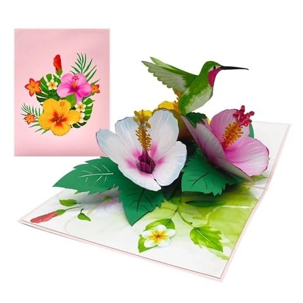 ETA 3D Hibiscus and Green Hummingbird Pop Up Greeting Card for Birthday, Just Because, Thinking of You, Retirement, Get Well, Congratulations, Any Occasions, F38