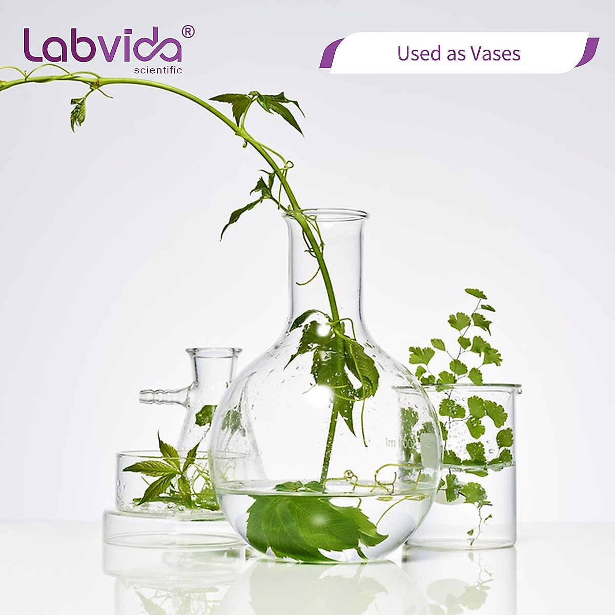 Labvida 2pcs of Glass Boiling Flasks of Flat Bottom, Vol.500ml, Borosilicate 3.3 Glass, LVD002