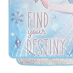 Northwest Frozen Silk Touch Sherpa Throw Blanket, 40" x 50", Magical Destiny