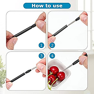 CHENGU 5 Pieces Portable Titanium Toothpicks Metal Pocket Toothpick with Protective Holder Stainless Steel Toothpick Reusable Toothpicks for Picnic Camping Traveling (Black)