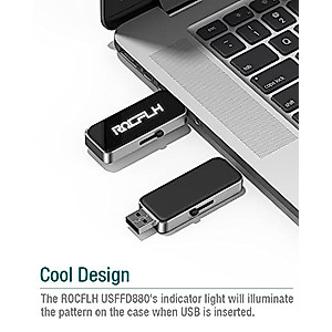 ROCFLH 256GB High-Speed and Light-Up USB 3.1 Flash Drive, Up to 400MB/s Read (USSFD880-L256G)