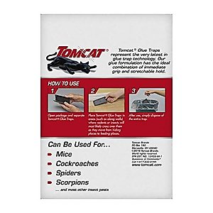 Tomcat Mouse Trap with Immediate Grip Glue for Mice, Cockroaches, Spiders, and Scorpions, Ready-To-Use, 4 Traps
