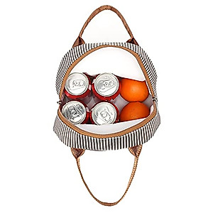 FlowFly Lunch Bag Tote Bag Lunch Organizer Lunch Holder Insulated Lunch Cooler Bag for Women/Men,Coffee