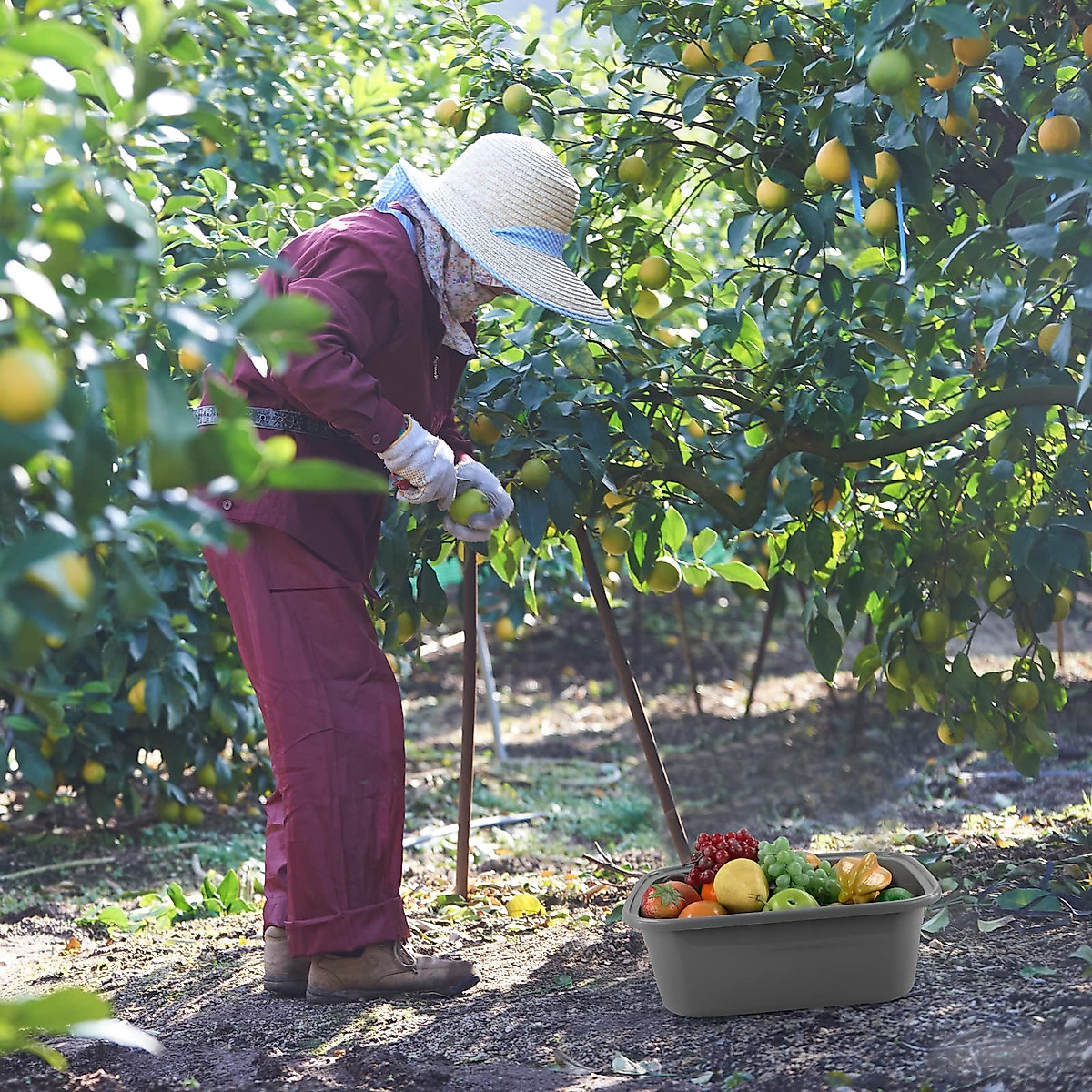 Ggbin Plastic Wash Basin, 16 Quart Dish Tubs, 3 Packs