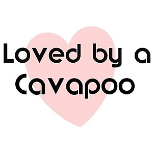 CafePress Loved By A Cavapoo Mug Ceramic Coffee Mug, Tea Cup 11 oz