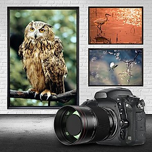 Lightdow 500mm f/7.5 Telephoto Reflex Mirror Lens for Canon EOS Rebel T1i T2i T3 T3i T4i T5 T5i T6 T7 T6i T6s T7i SL1 SL2 30D 40D 50D 60D 70D 77D 80D 1D 5D III IV 5Ds 6D 7D Mark II SLR Digital Cameras