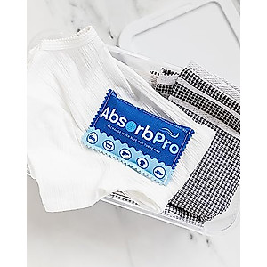 Absorb Pro - 100g (1-pack) Rechargeable Desiccant Pouch - Moisture Absorbing Bag - Dehumidifier for Bins, Totes, Safes, Cars, and Boats - Made from Silica Gel