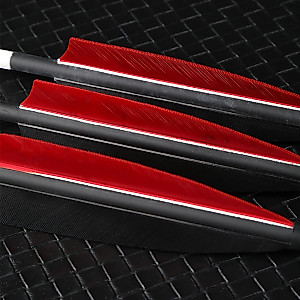 PMZ Archery 31" Mix Carbon Arrow 6pcs 12pcs for Hunting Recurve Bow(12pcs,Without Stickers)