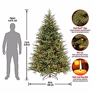 National Tree Company Pre-Lit 'Feel Real' Artificial Full Christmas Tree, Green, Frasier Grande, White Lights, Includes Stand, 7.5 Feet