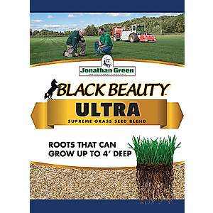 Jonathan Green 40322 Black Beauty Ultra Grass Seed, 7 lb