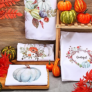 WILLBOND 4 Pieces Farmhouse Fall Kitchen Towels Autumn Kitchen Dish Towels Farmhouse Bath Towels Hand Towels Tea Towels for Fall Kitchen Thanksgiving Gifts, 18 x 28 Inch (Pumpkin)