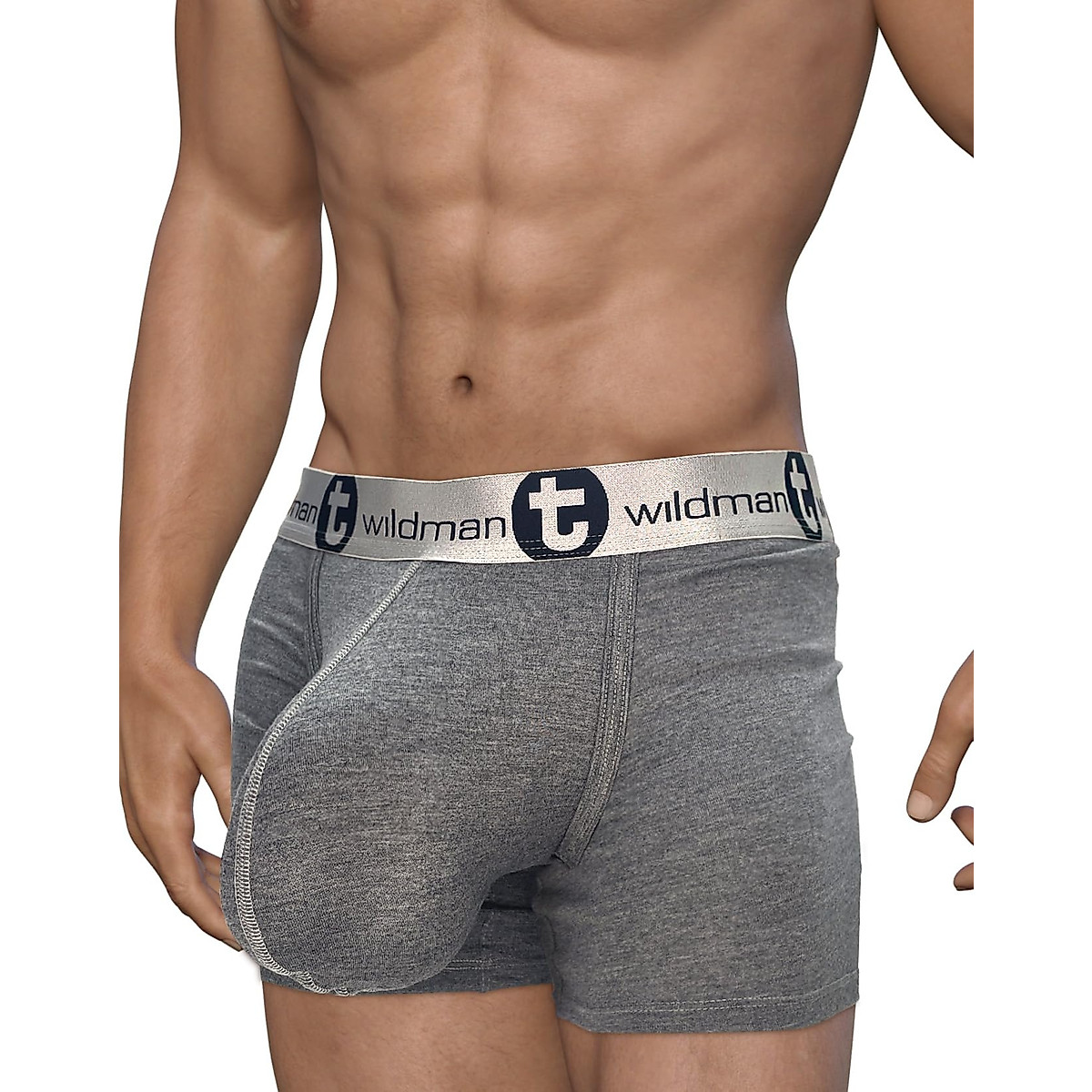 Wildmant Modal Monster Cock 5" Inseam Boxer Brief Gray (US, Alpha, Large, Regular, Regular)