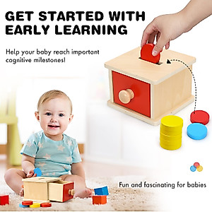 TOY Life Montessori Coin Box Toys Object Permanence Toys for Babies Toddlers Montessori Toys for 1+ Year Old Wooden Montessori Ball Drop Toys Developmental Toys for 2+ Year Old Imbucare Learning Box
