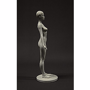 Female Anatomy Figure: 10.5-inch Anatomical Reference for Artists (Grey)