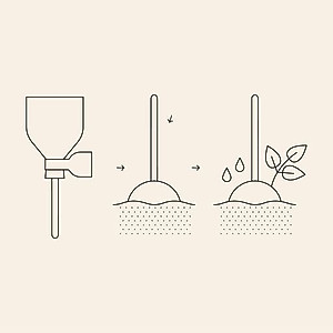 Modern Sprout Seed Lollipops, Garden Seed Packet, Indoor Garden or Outdoor Plants , Organic Seeds, Perrenial Wildflower Mix, 10 Pack