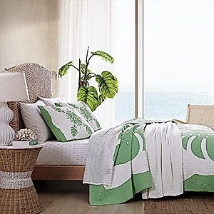 Tommy Bahama - Queen Quilt, Reversible Cotton Bedding, Lightweight Home Decor for All Seasons (Molokai Mint Green, Queen)
