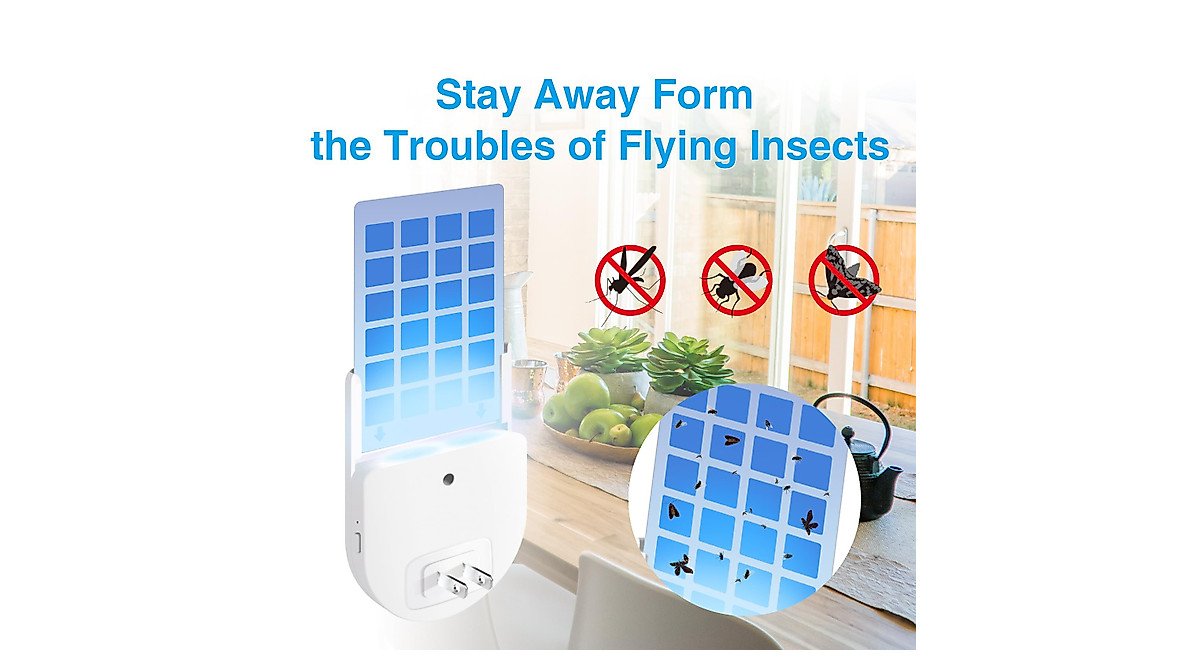2 Pack Flying Trap Indoor, Fruit Fly Traps for Indoors with 12 Glue Cards, Safe and Effective ...