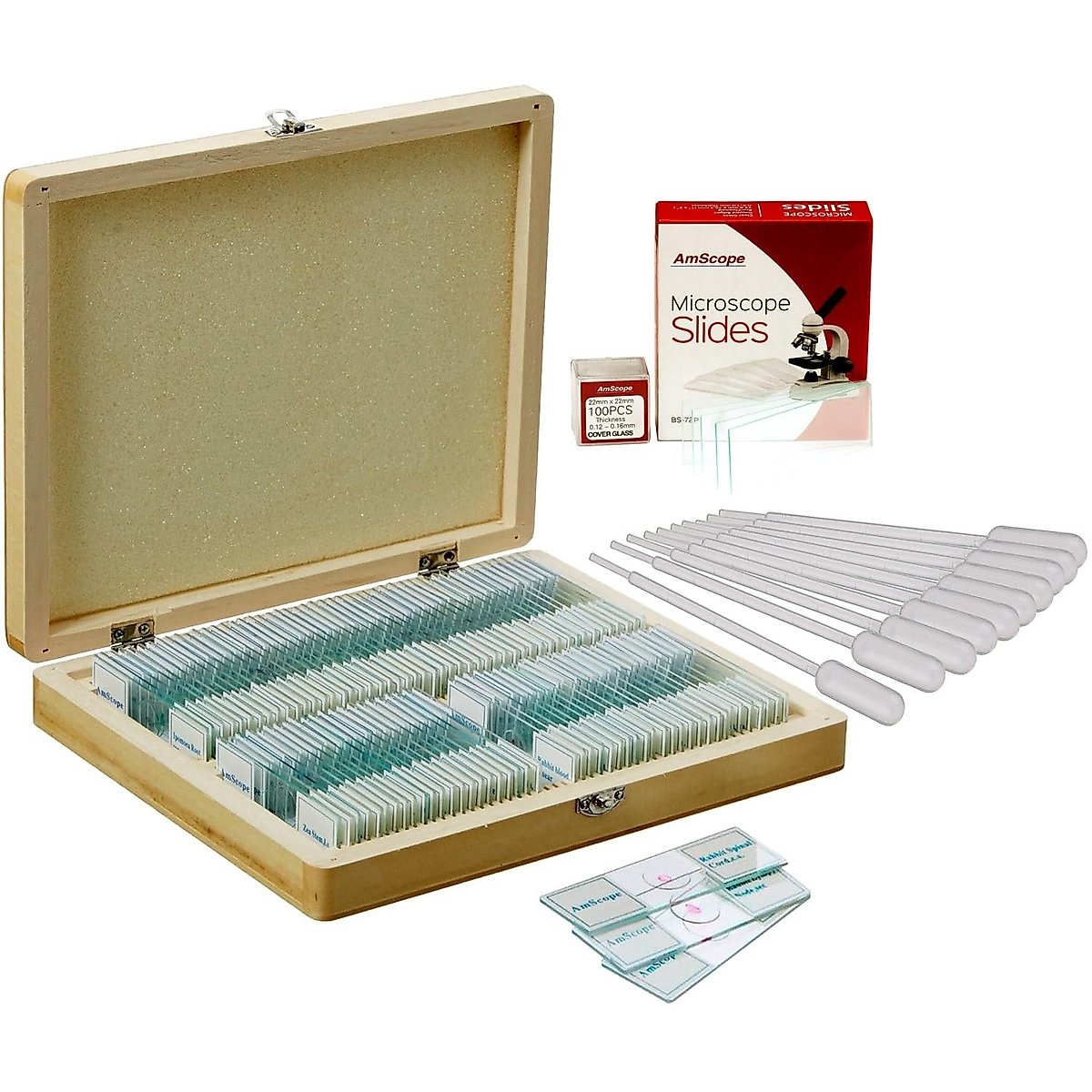 AmScope Deluxe Assorted Sample Specimens Set w/Microscope Slides & Slipcovers - 100 Prepared Sample Slides, 72 Blank Glass Slides + 100 Coverslips, 50 1mL Pipettes
