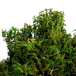 BYHER Artificial Moss Fake Green Grass for Centerpieces Home Kitchen Garden Decor (8OZ, Fresh)