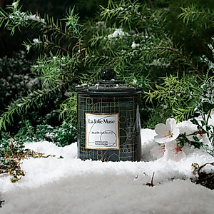 LA JOLIE MUSE Christmas Candle, Cedarwood & Cypress Candle, Holiday Candle Gifts, 75 Hours Long Burning, Natural Soy Candle Gift, Fancy Jar Decorative Candle