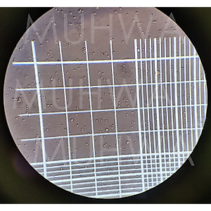 MUHWA Hemocytometer Neubauer Improved Blood Counting Chamber Cell Counting Chamber with Bright Line with 2 pcs Coverslips