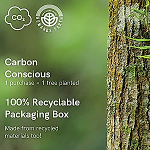 caseym iPhone 14 Pro Biodegradable Phone Case and Screen Protector Bundle - Eco-Conscious Phone Protection - Matte Black