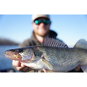 Northland Fishing Tackle Freshwater Tungsten Short Shank Fishing Jig for Bass, Walleye, Trout, and Many Others, Firetiger, 1/8 Oz 1/0 Hook, 2/Card