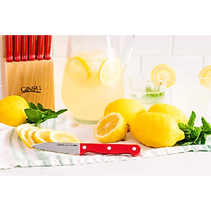 Ginsu Kiso 14-Piece Red Knife Set with Black Block - Dishwasher Safe and Always Sharp