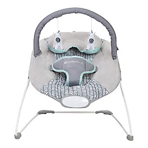 Smart Steps EZ Bouncer, Ziggy