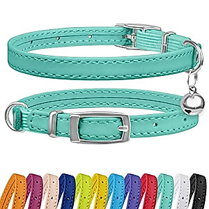 CollarDirect Leather Cat Collar with Bell - Kitten Collar, Small and Big Cat Collar for Boy Cats, Girl Cats with Safety Elastic Strap (Neck Fit 9"-11", Mint Green)