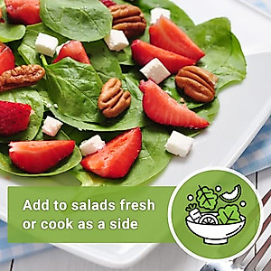 Sow Right Seeds - Viroflay Spinach Seed for Planting - Non-GMO Heirloom Packet with Instructions to Plant a Home Vegetable Garden, Great Gardening Gift (1)