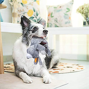 Nocciola 10 PCS Crinkle Dog Squeaky Toys with Double Layer Reinforced Fabric, Durable Plush Dog Toys, No Stuffing Body Dog Toy Set for Small to Large Dogs (10PCS 90 squeakers)