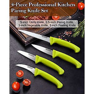 Cook N Home Paring Knife Set 4-Piece, High Carbon German Stainless Steel Kitchen Knives, Includes-Utility, Paring, Vegetable, Peeling Knife, Ergonomic Handle, Green