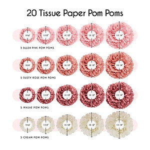 EpiqueOne 20-Piece Tissue Paper Pom Poms Party Kit - Add a Splash of Blush Pink, Dusty Rose, Mauve & Cream to Your Celebrations! Perfect for Birthday, Bridal Shower, Baby Shower, Wedding & Graduation