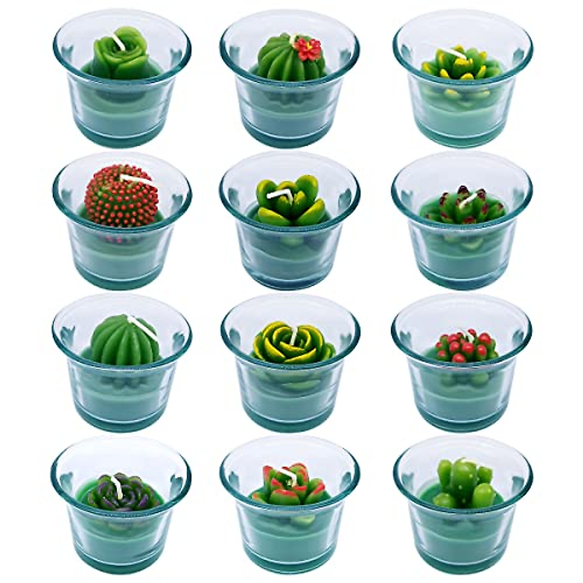 Amusaer Succulent Cactus Tealight Candles in Glass 12 Set Bulk Small Soy Wax Candles for Wedding, Party Favors, Baby Shower, Bridal Shower Green