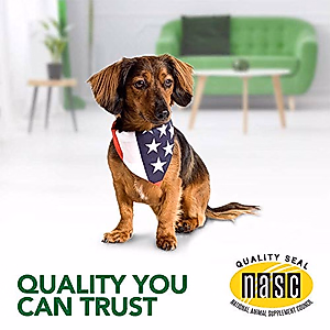 Vet's Best Aspirin Free Aches + Pains Dog Supplement | Vet Formulated for Dog Pain Support and Joint Relief (100 ct (2 Pack))