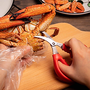 Endurance Stainless Steel 6.1 Inch Seafood Scissors 12 pcs
