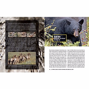 The Complete Guide to Hunting, Butchering, and Cooking Wild Game: Volume 1: Big Game