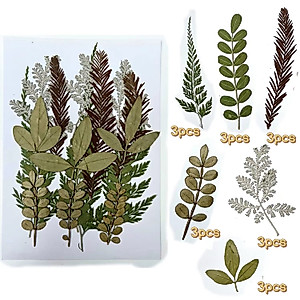 Fbrand 180 Pieces of Real Dry Embossed Flowers with Plant Petals Used for Scrapbook Supplies Card Making Nail Art Picture Frame Decoration soap and Candle