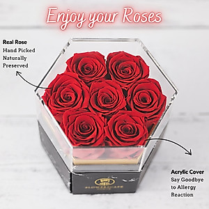 Forever Rose Flowers Delivery Prime - Fresh Bouquet - Valentines Mothers Day Birthday Anniversary for Women Mom Wife Girlfriend and Her - 7Pcs (Hexagon-Red)