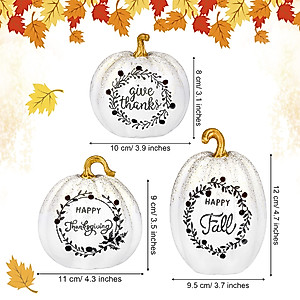 Fovths 3 Pack Happy Fall White Pumpkin Light Tabletop Decor Set Pumpkin Resin with LED Light Autumn Tabletopper Decorations for Fall Harvest Thanksgiving Party Home Table Decorations