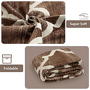 RELEANY 8x10 Area Rugs for Living Room Machine Washable Non-Slip Brown Rugs Moroccan Modern Trellis Carpet for Dining Room Bedroom Kitchen Indoor Entryway Laundry Room