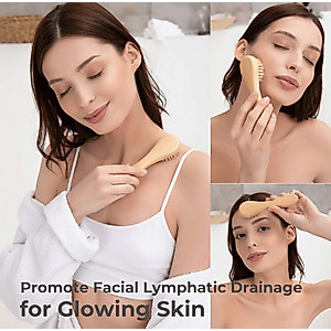 Dry Brushing Body Brush Set – Natural Bristle Spa Exfoliator Kit with Face Cleansing Brush, Long Dry Brushing Body Brush for Lymphatic Drainage & Massaging Cellulite Brush for Smooth, Radiant Skin