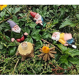 YARCHONN Miniature Garden Gnomes Ornament Outdoor, Resin Elf Statue, Funny Gnome Fairy Garden Accessories for Patio, Yard, Lawn or Home Garden Decorations, (6PK Drunking Theme)