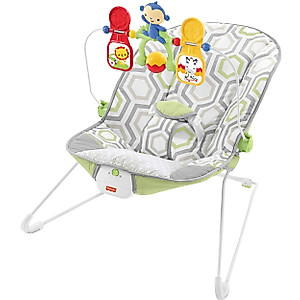 Fisher-Price Baby's Bouncer – Green, bouncing seat for soothing and play for newborns and infants [Amazon Exclusive]